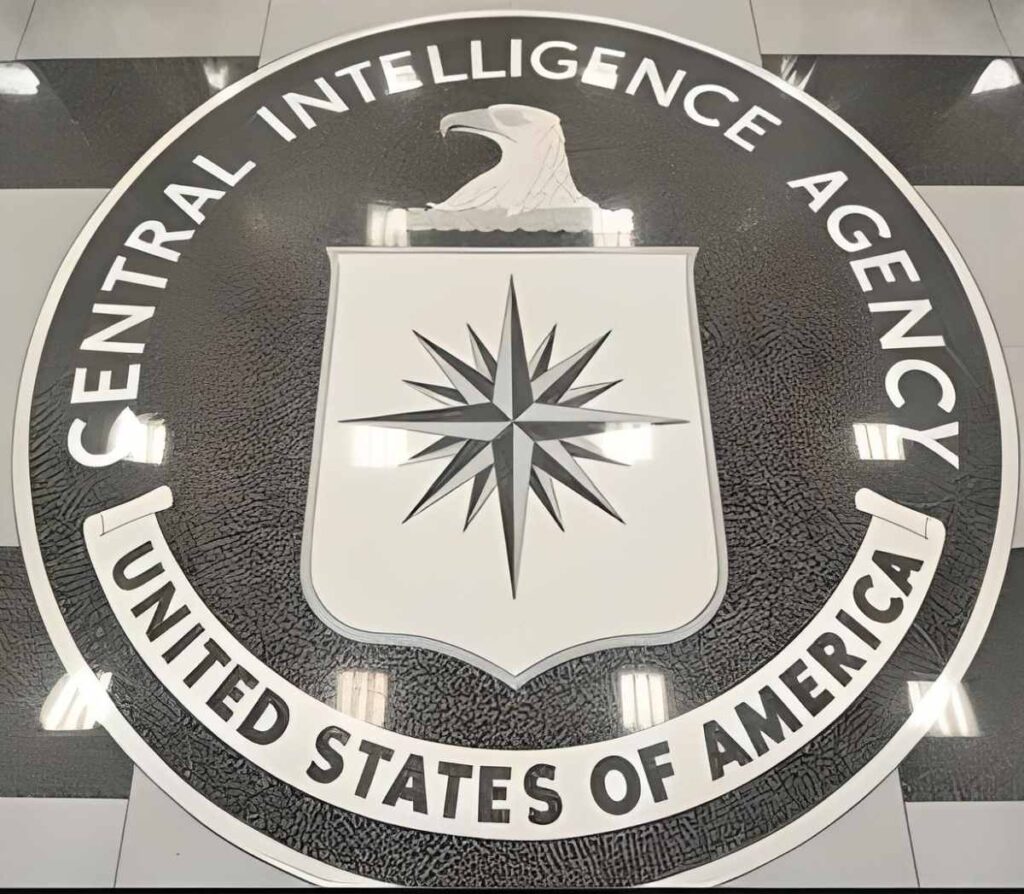 CIA: From its Origin to Rebirth - Malevus