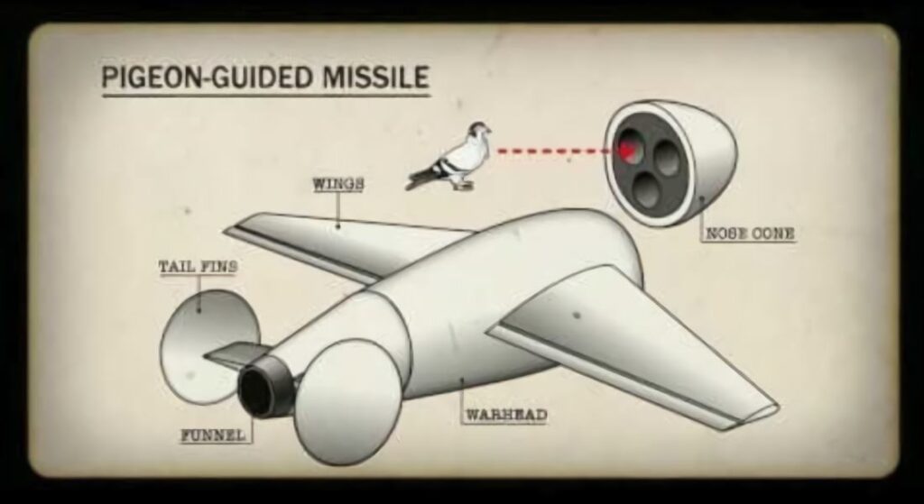 In WWII, a Mad Scientist Created Rocket Flying Pigeons - Malevus