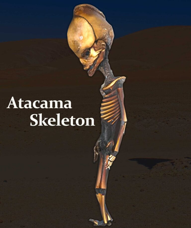 Atacama Skeleton: The Story of a Strange Body in Chile - Malevus