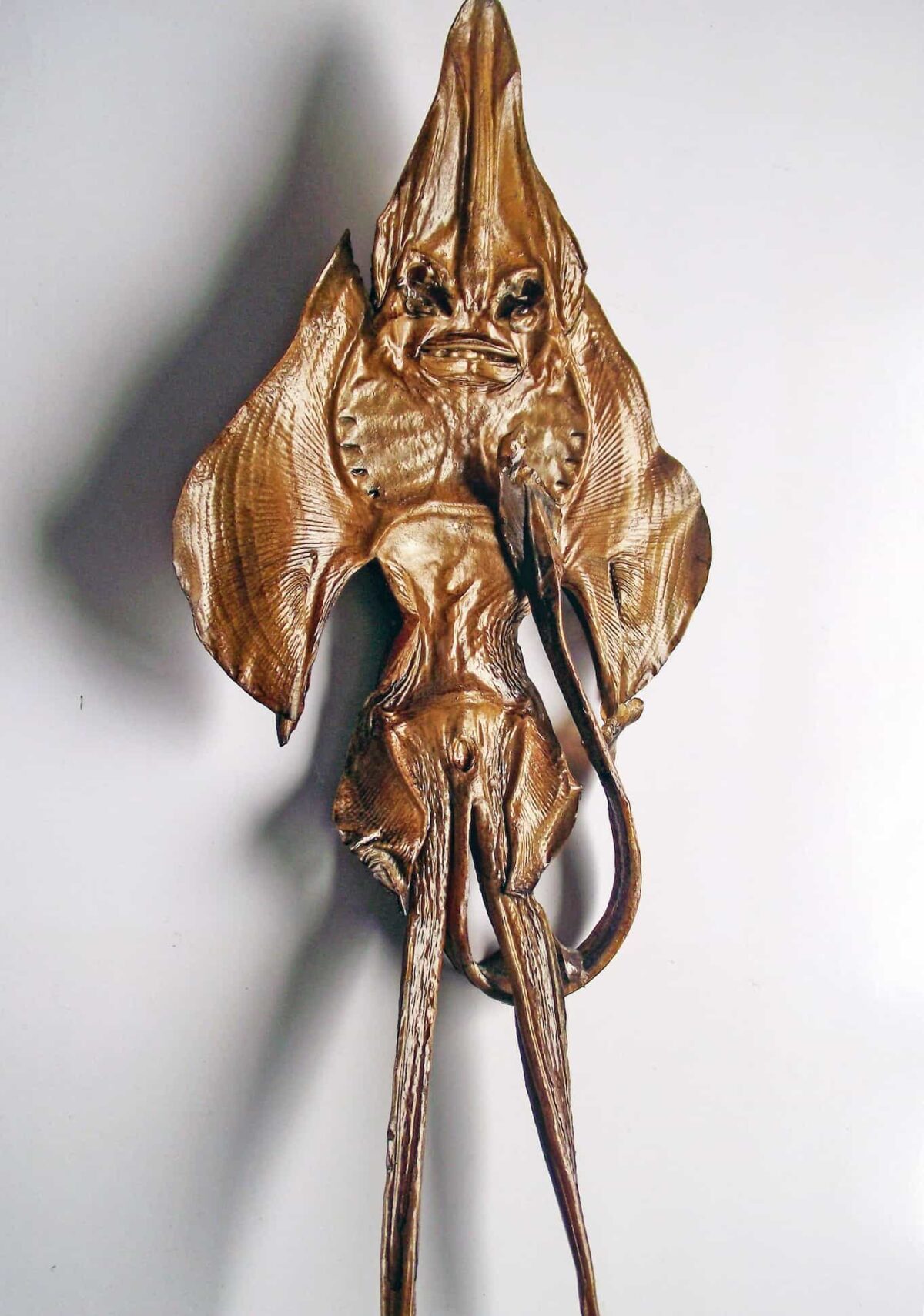 Jenny Haniver: A Bizarre Creature Crafted by Sailors - Malevus
