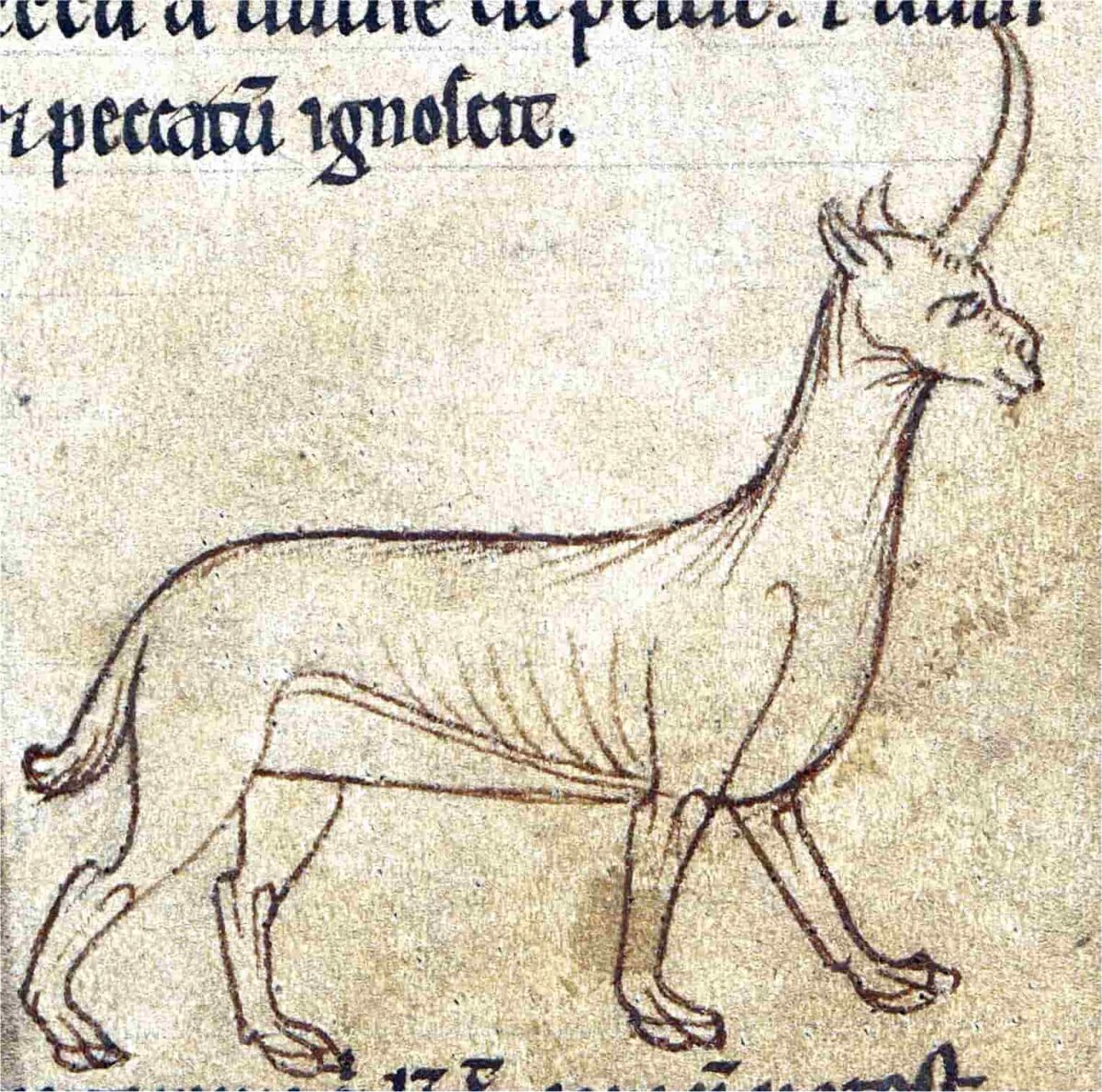 Monoceros: A Mythical Beast with Ties to Unicorns - Malevus